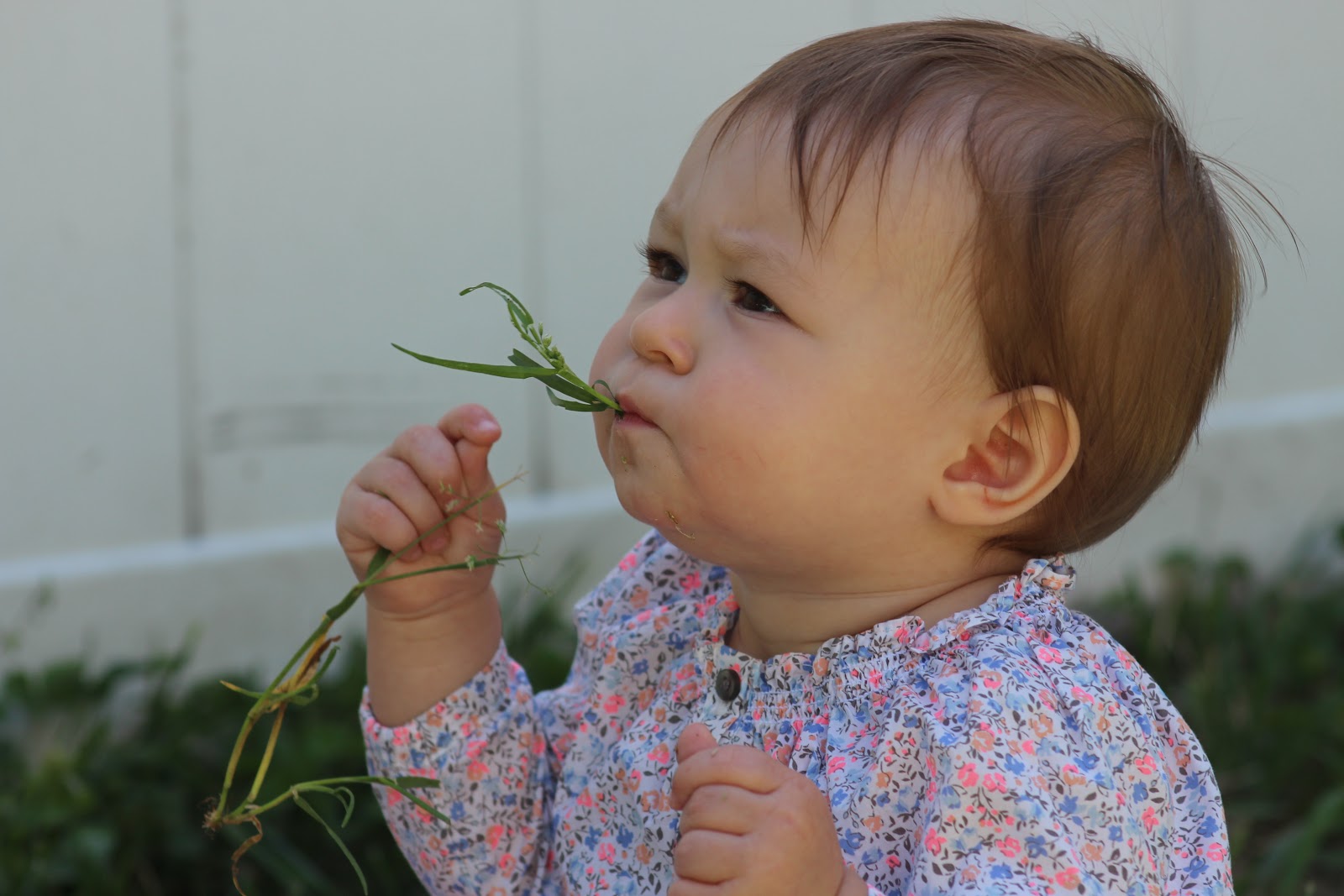 A Southern Grace: eat your greens