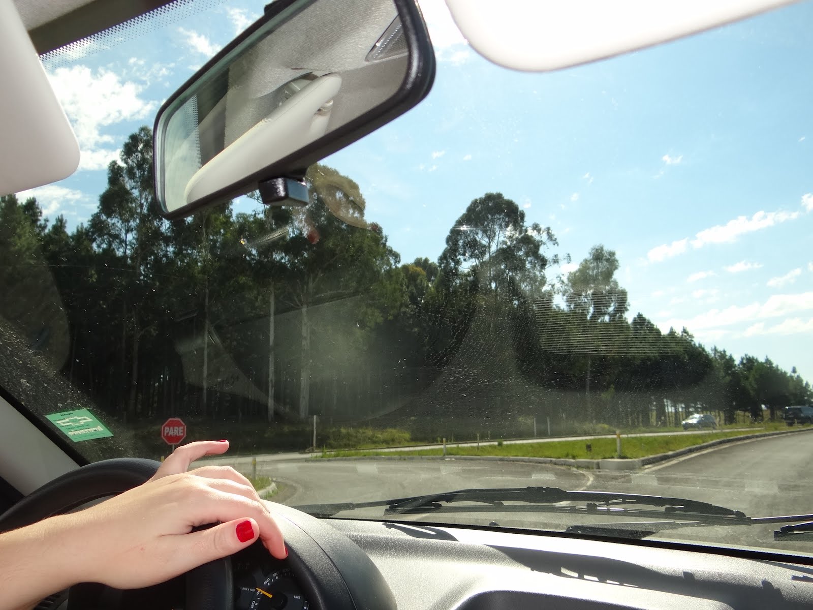 Psicoterapia em Ação: Dirigir e ou Conduzir a vida?