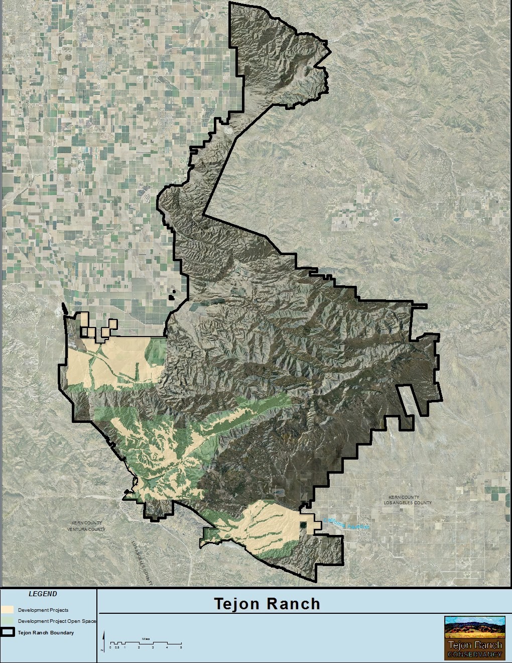 Tejon Ranch Conservancy Blog: Wildlife Wednesday: Golden Eagles
