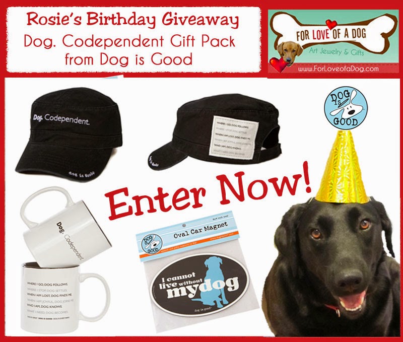 Talking Dogs at For Love of a Dog: Giveaways