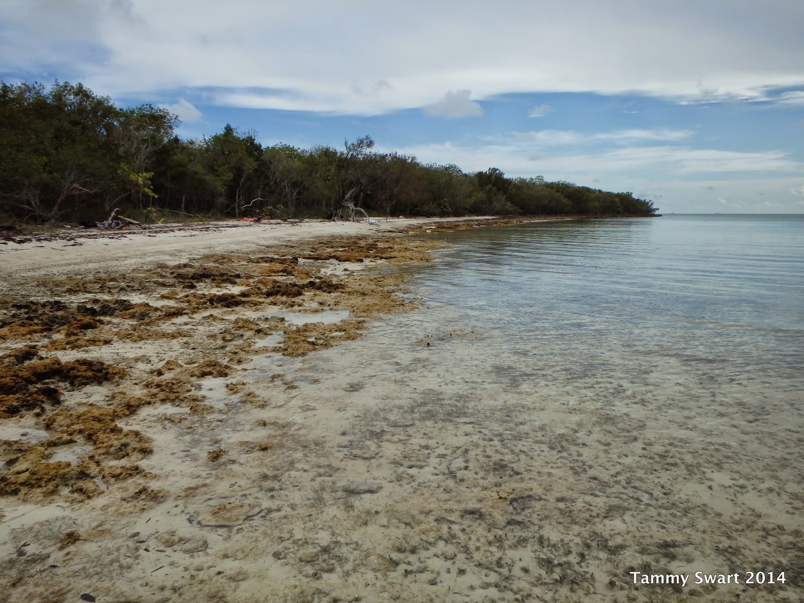 Things we did today...: Elliott Key