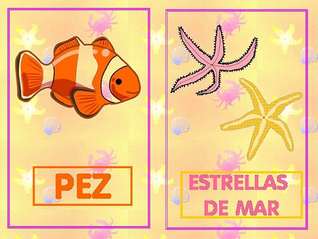 RECURSOS y ACTIVIDADES para Educación Infantil: Vocabulario sobre el VERANO