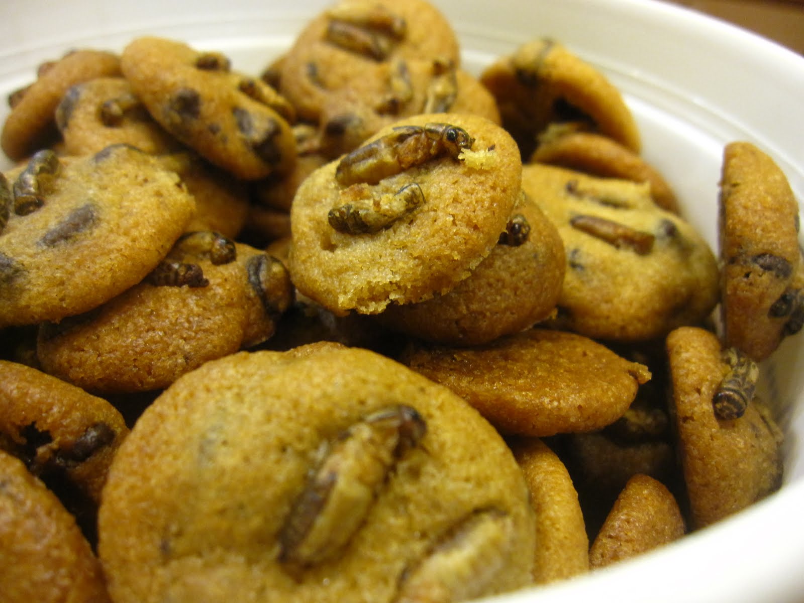 Southern Belle in Santa Barbara: Bug Appétit