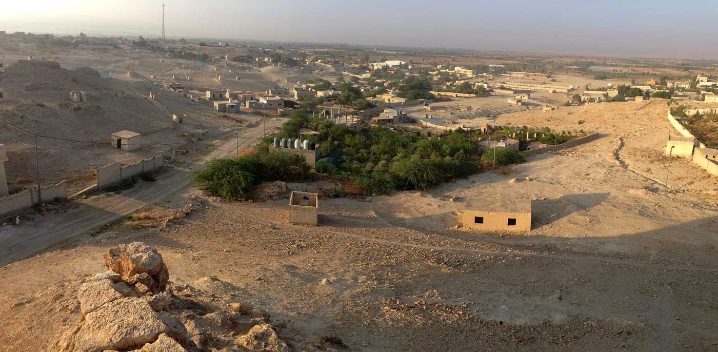 Reforestation and the Medicinal Uses of Trees -Liliana Usvat Research ...