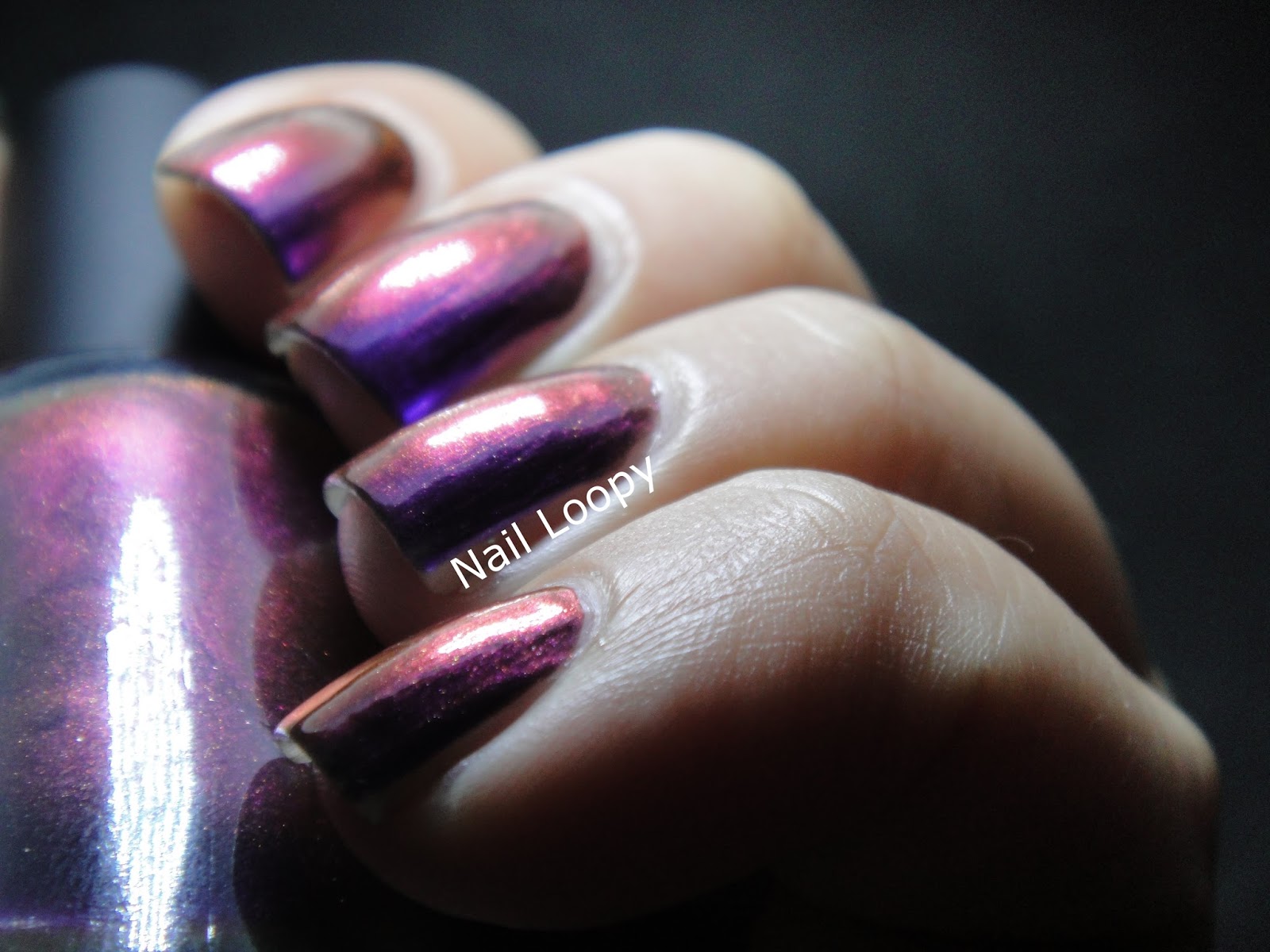nail loopy: ILNP CYGNUS LOOP