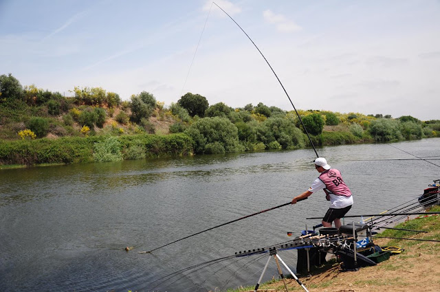 O mundo vem pescar a Mora - Mora Mundus