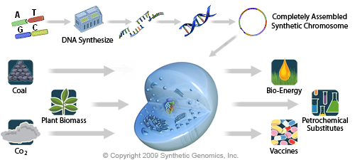 The Rag Blog: Devon G. Peña : The Commodity Form Goes Molecular