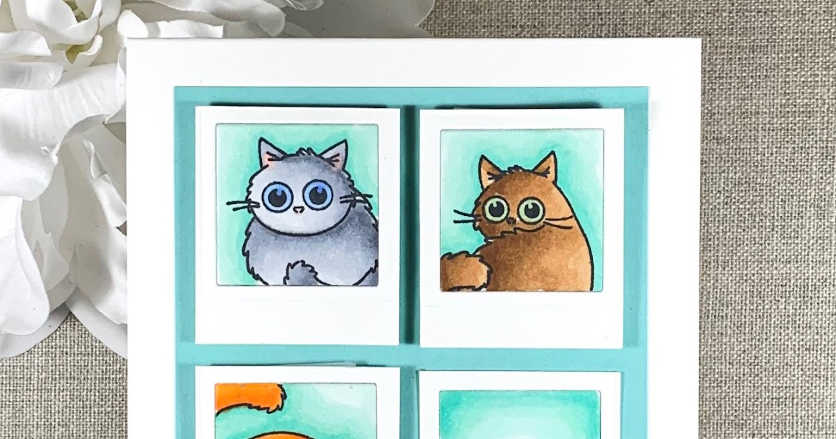 A.Maker: You're One Cool Cat