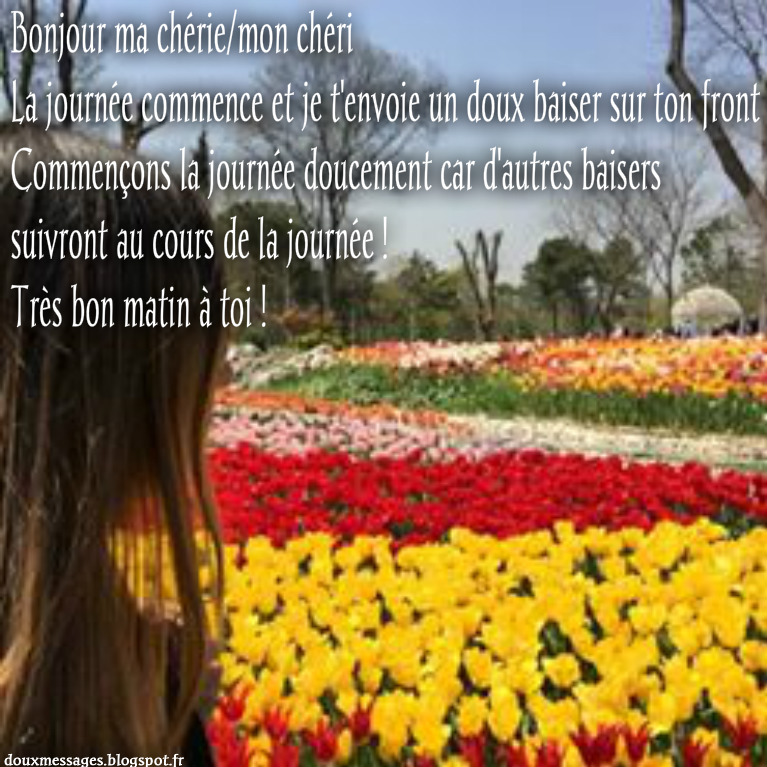 LES SMS DE BONJOUR, MESSAGES DE BONJOUR - MESSAGES DOUX