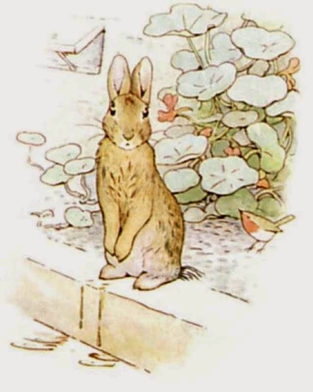Slikanice za otroke (in odrasle): Izbrane povesti Beatrix Potter