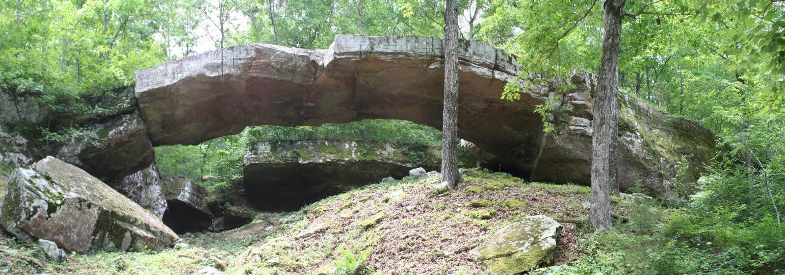What a Country!: Natural Bridge - Clinton, Arkansas
