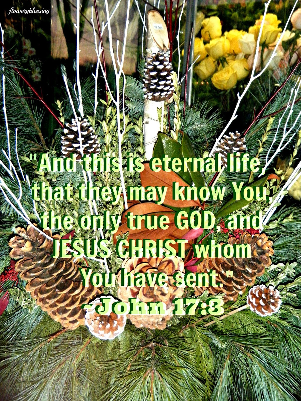 Flowery Blessing: "And this is eternal life, that they may know You ...