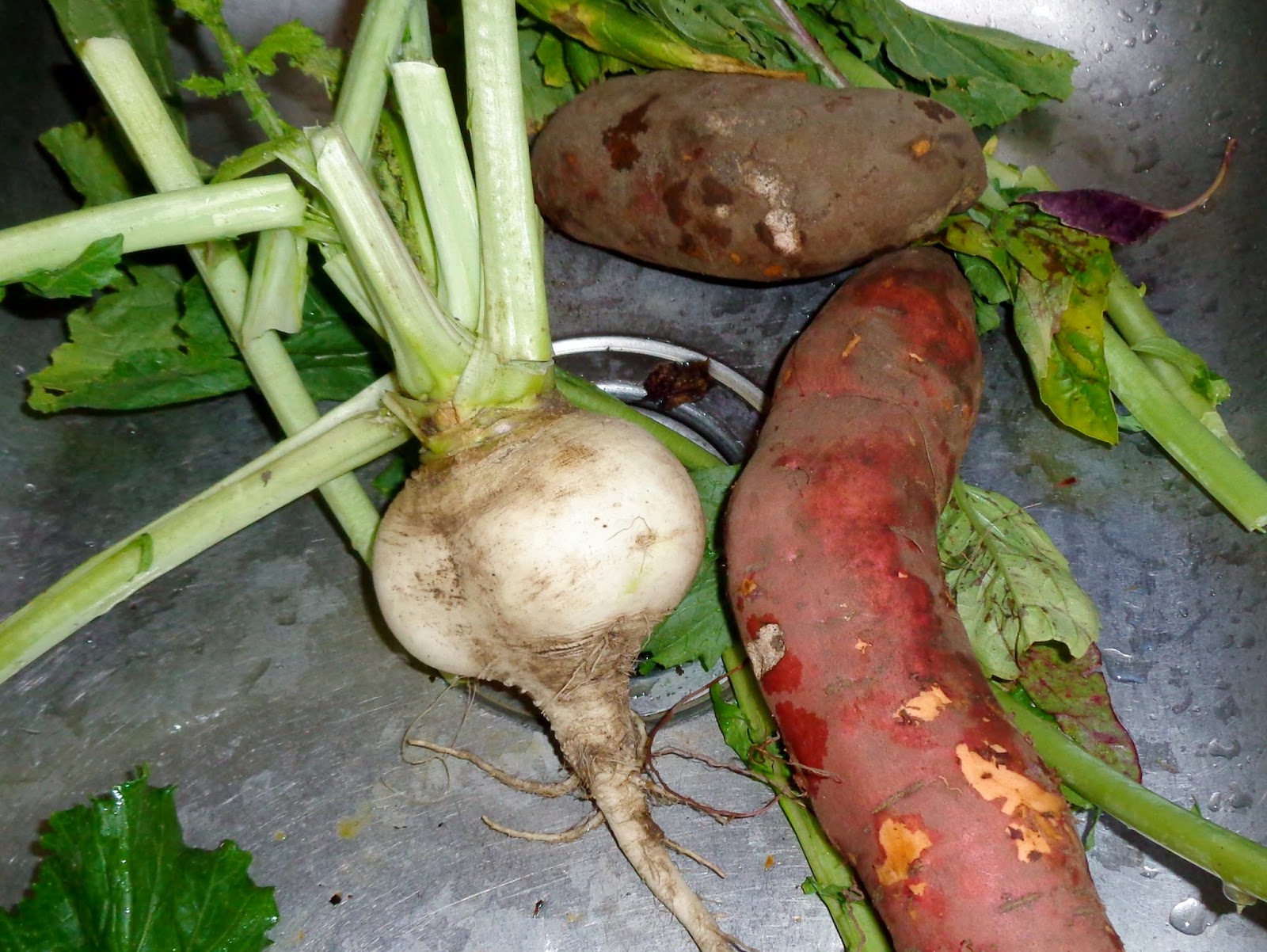 Orange is my favorite color.: Turnip Sweet Potato Jalapeno Soup