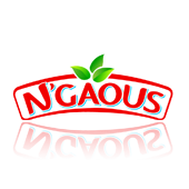 N'Gaous - algerie-contacts