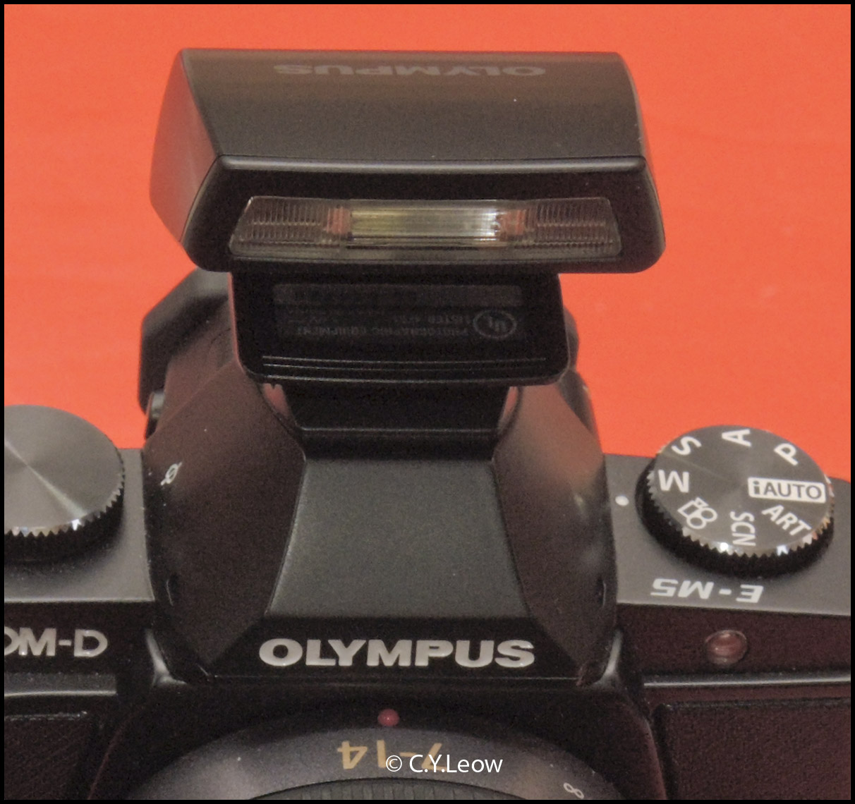 Man Behind Lens: Old External Flash for OM-D E-M5!