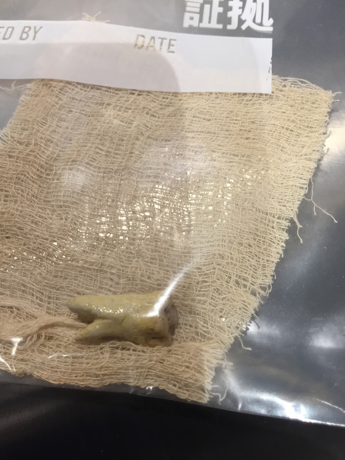 Blade Runner: 2049 LAPD Evidence Bag with Rachael's Artificial Tooth ...