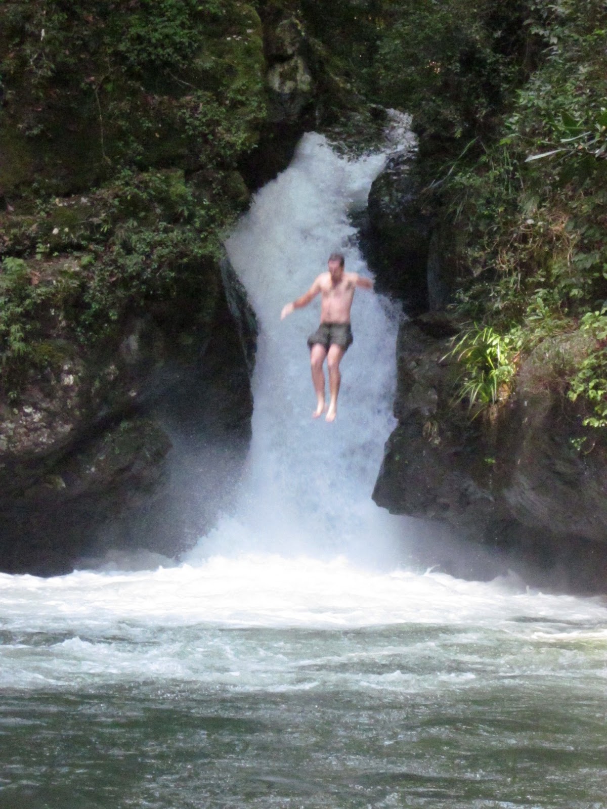 Bongbong's Adventures in Oz: Potoroo & Ellenborough Falls