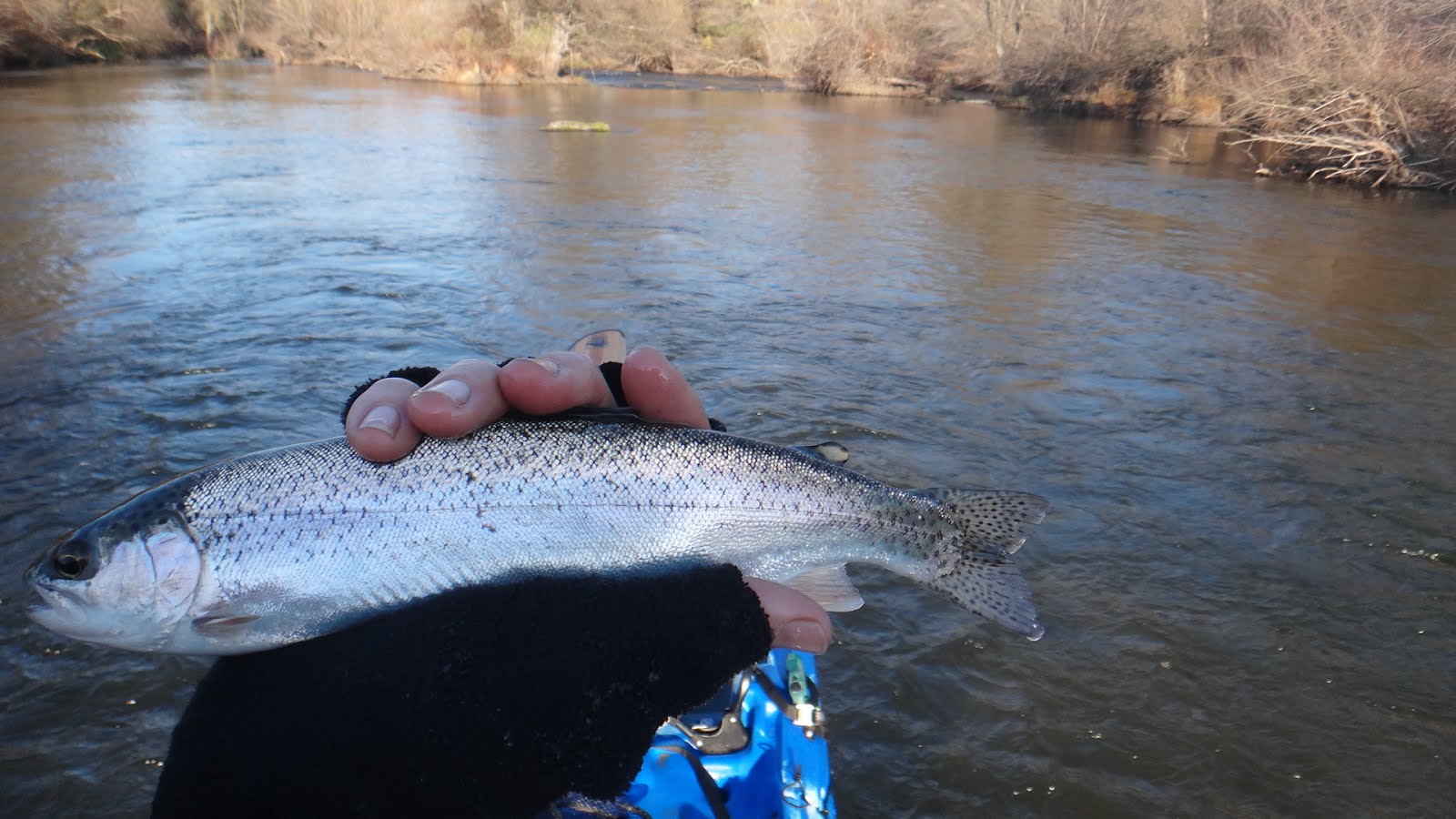 Headwaters Fishing Team: Merced River Trip Report Take Two