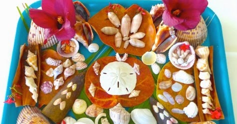 Sanibel Island Shell Crafts
