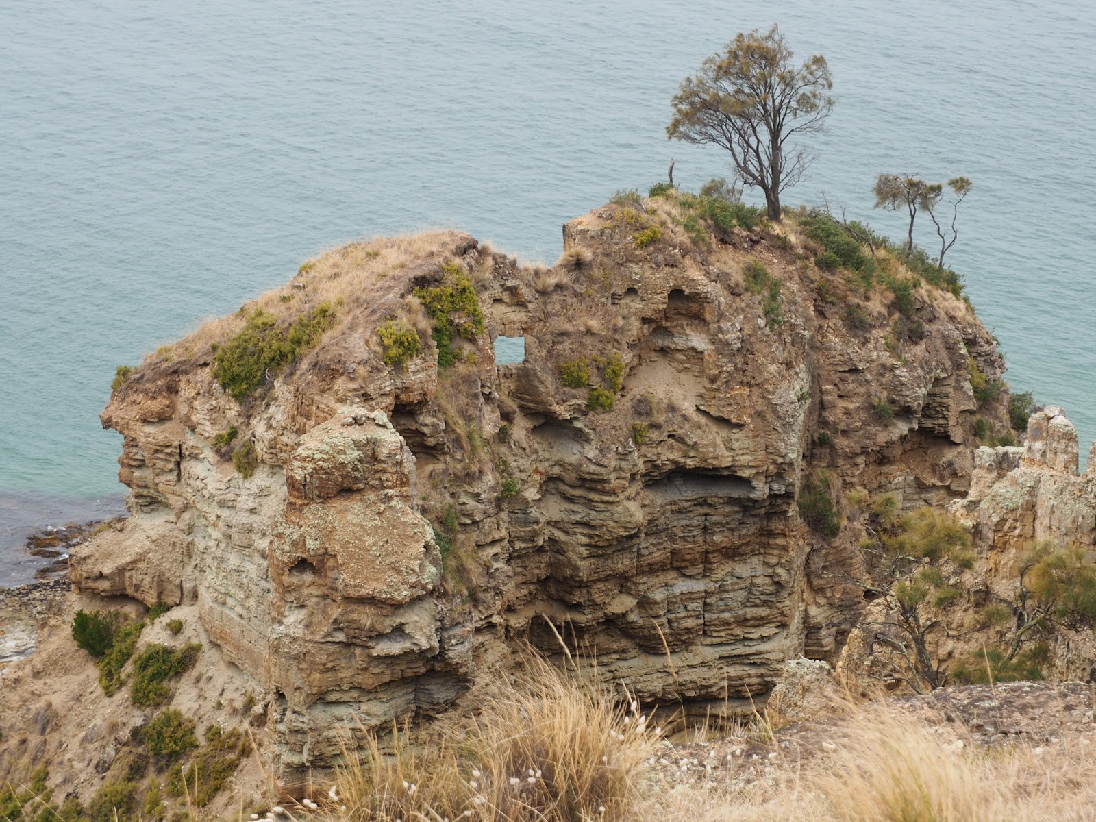 Cape Deslacs | Hiking South East Tasmania