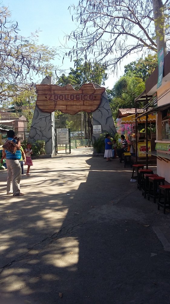 Filmarte MX: PARQUE ZOOLOGICO DE LA CUIDAD DE MERIDA, YUCATAN MEXICO.