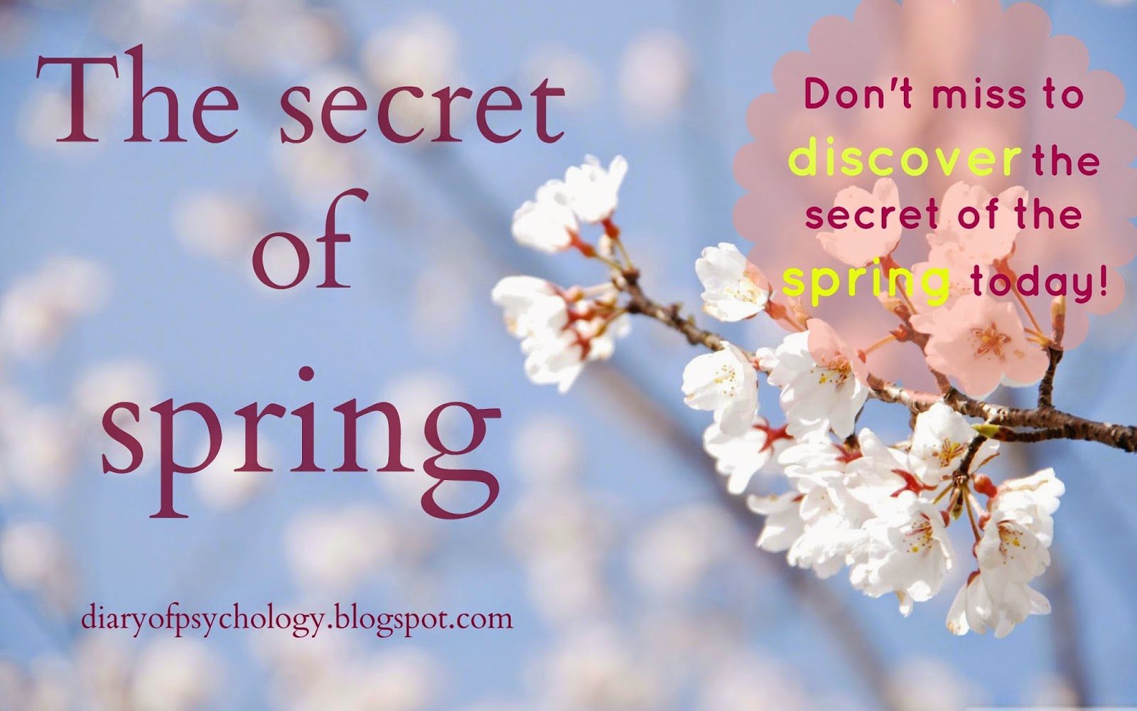 The secret of spring - Mental & Body Care