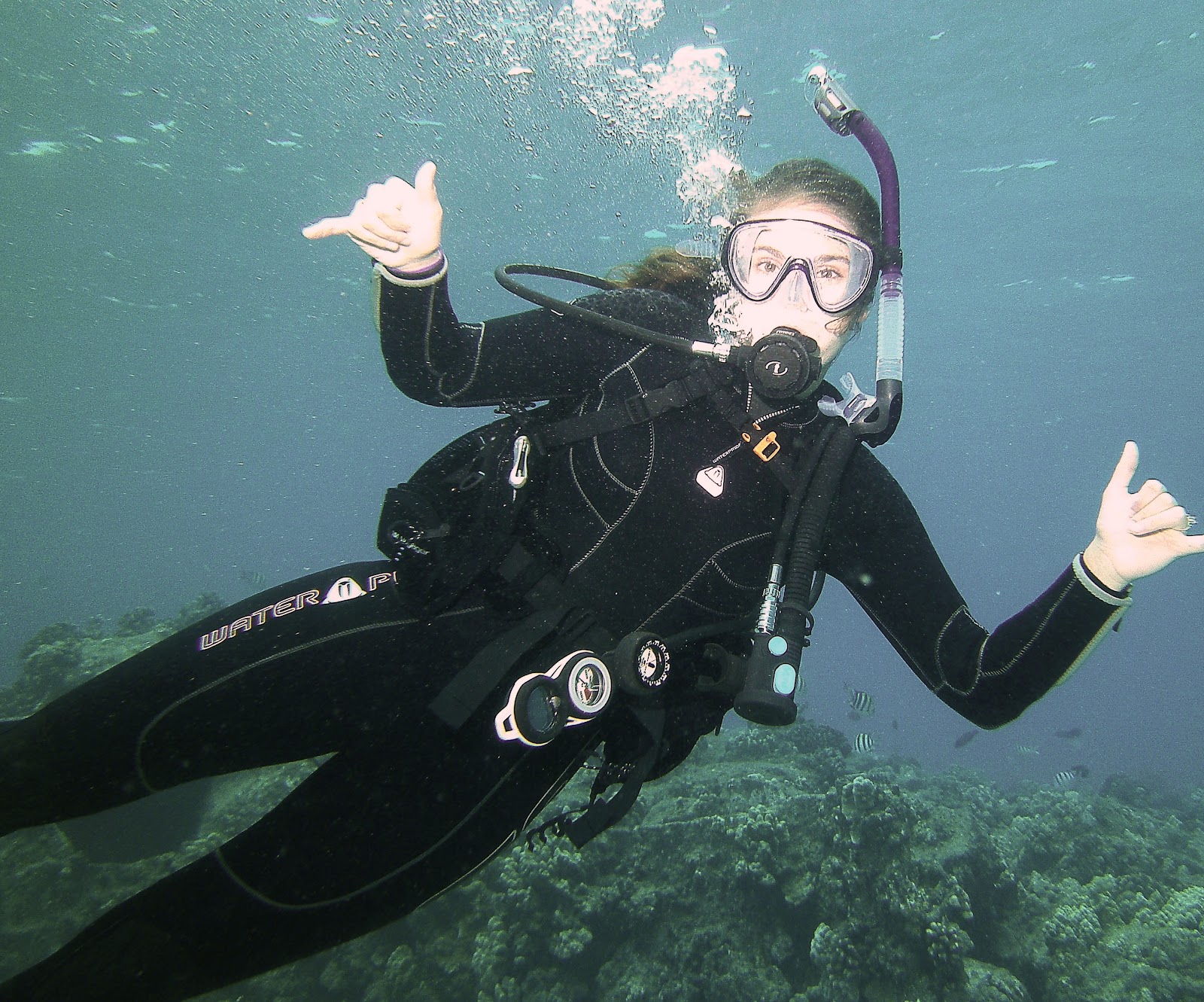 The Rogue Islander: AKL Part II and Scuba Adventures