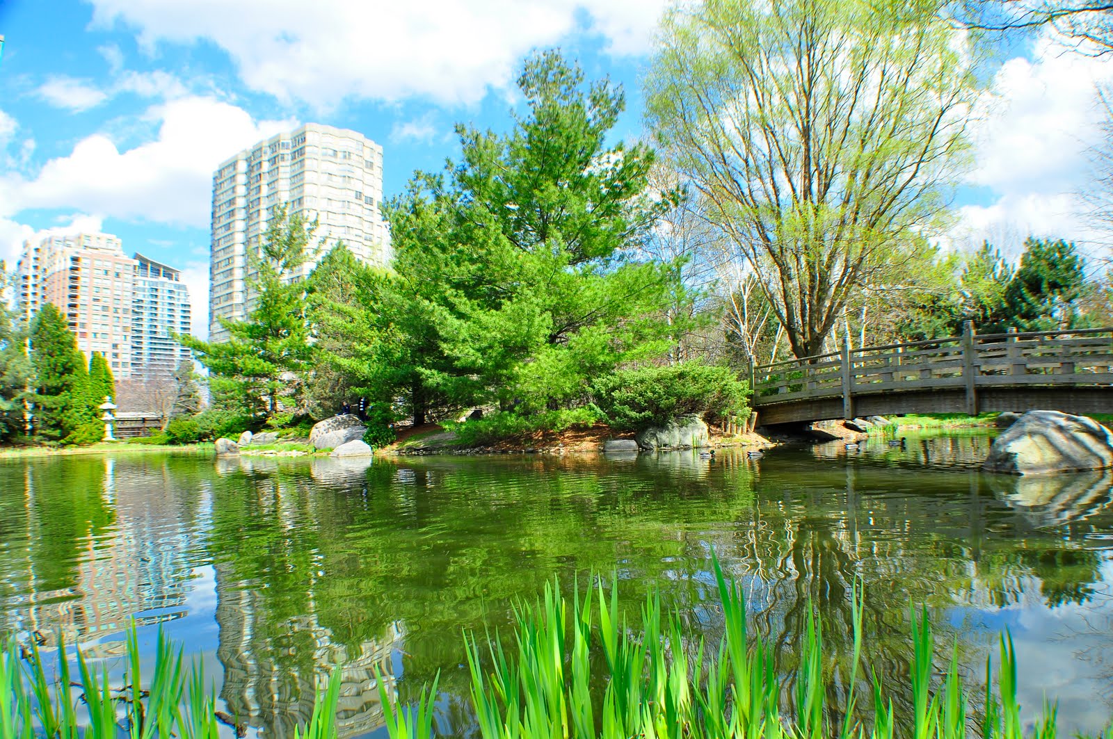 This Randomness: Litratong Pinoy - Liwasan (Park)