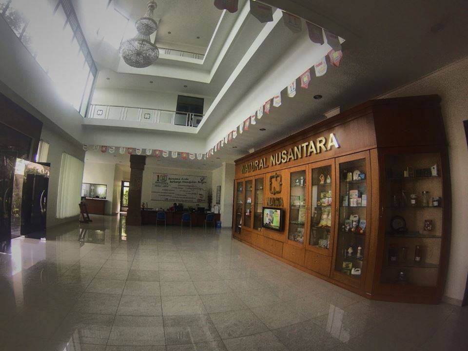 COMPANY PROFILE PT.NATURAL NUSANTARA YOGYAKARTA | Budidaya Sawit Unggul ...