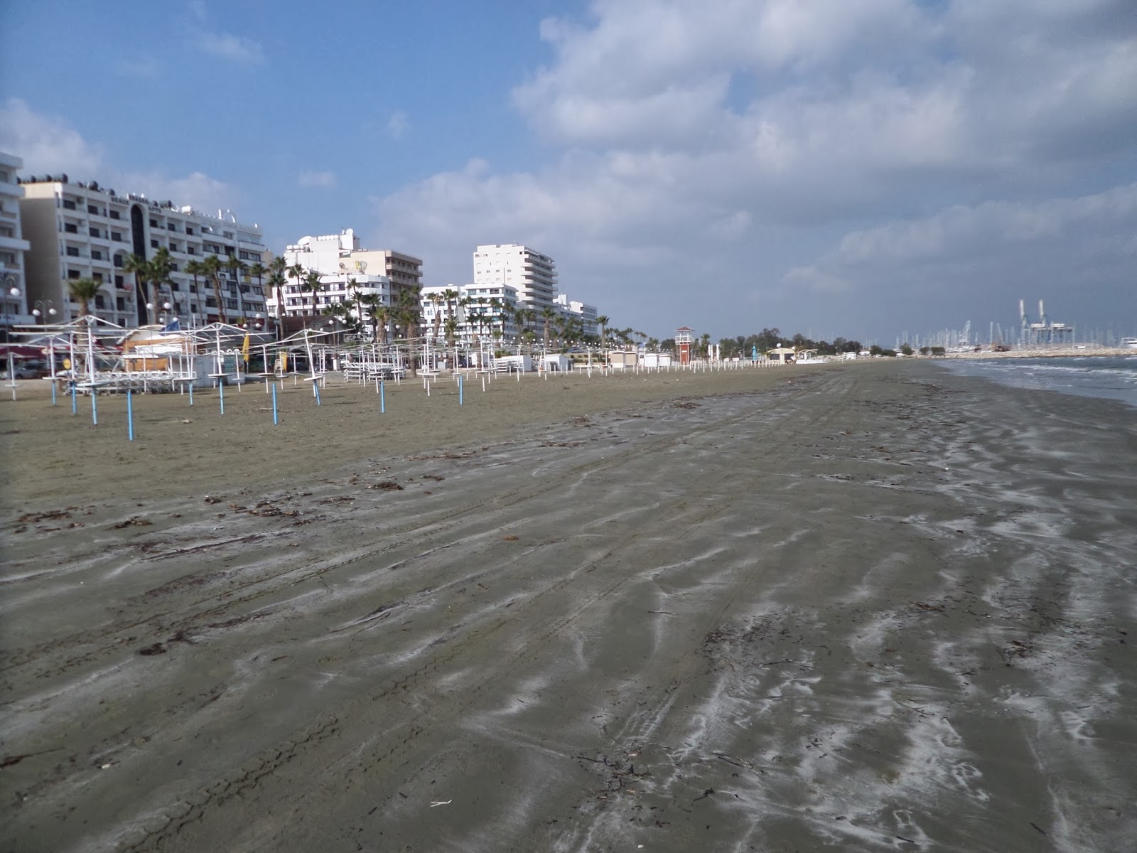 Travel Cyprus With Your Dog: January 2014