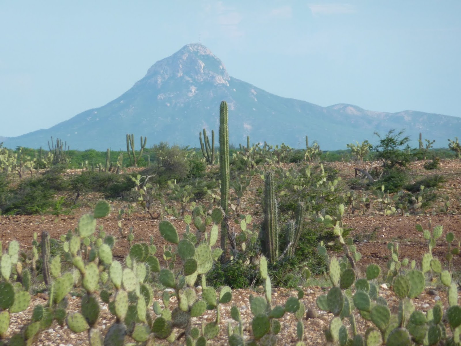 Eraja Wajira: Cerro de la teta