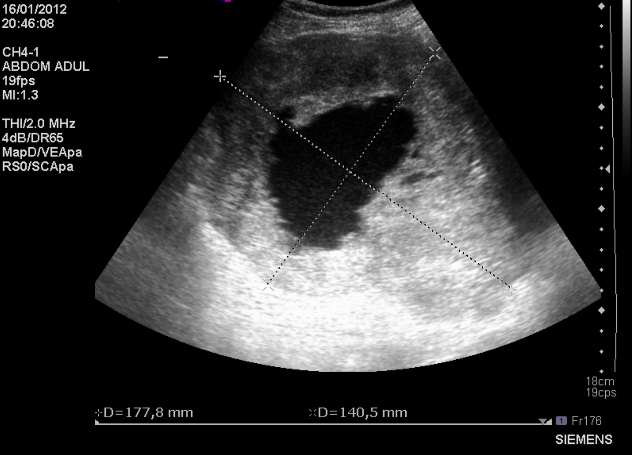 Radiology Station Febrero 2012