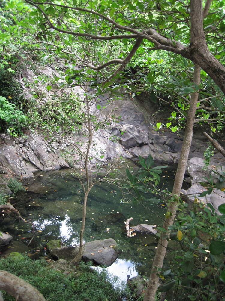 Guadeloupe: Anse Duquèry ( sentier de la grande Pointe )