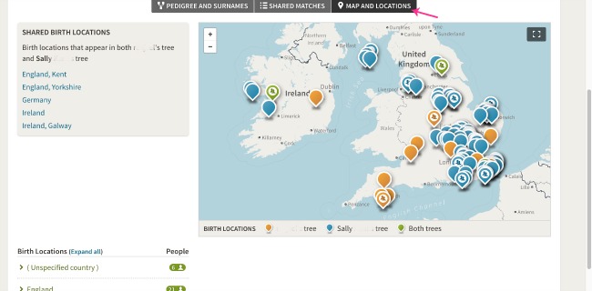 AncestryDNA Test Kit - Should You Buy One? | Teddy Bears And Cardigans