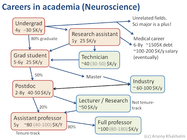 I created a flowchart about career perspectives in academic ...