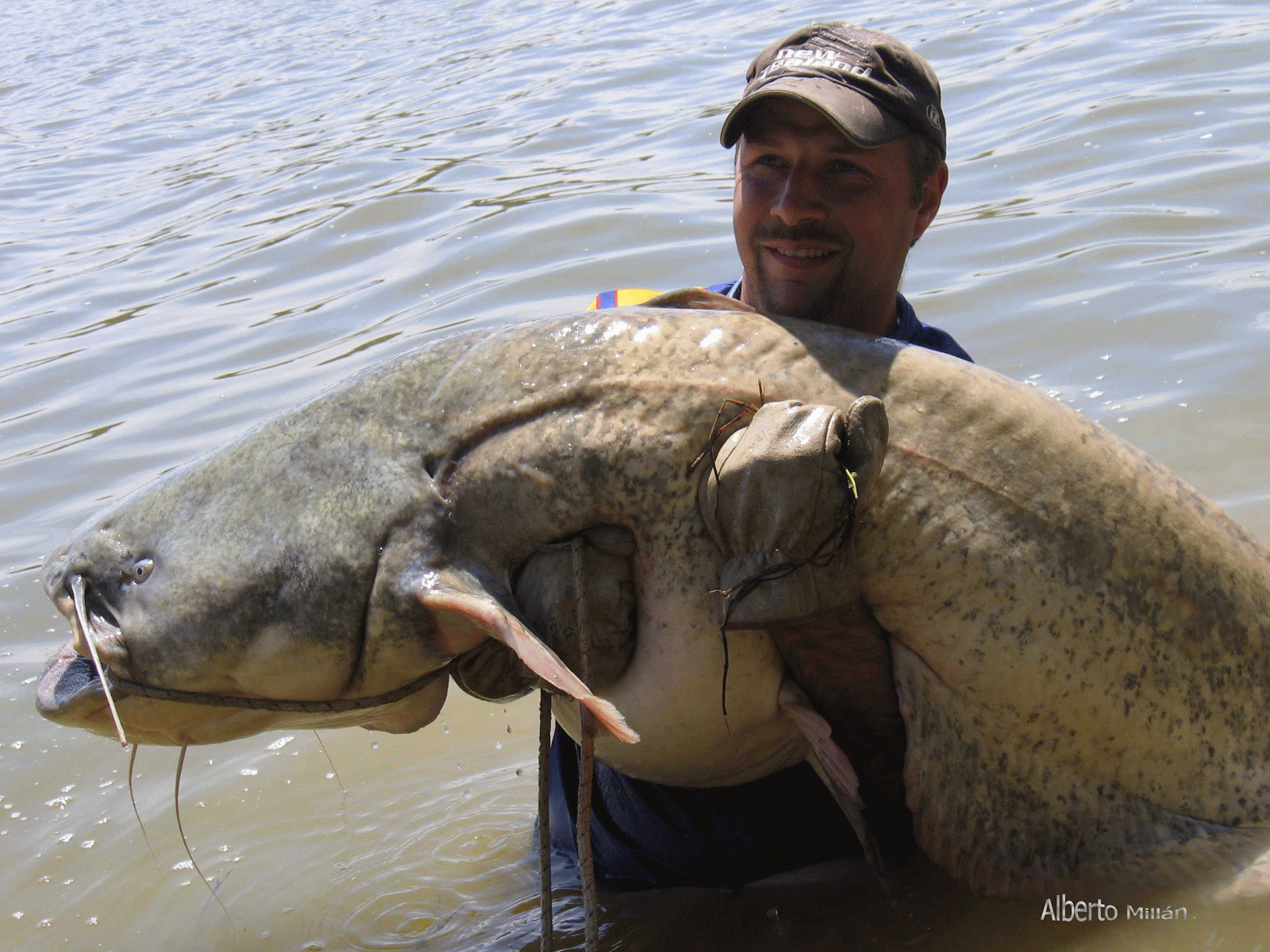 PESCA DEL SILURO EN EL EBRO: LA PESCA