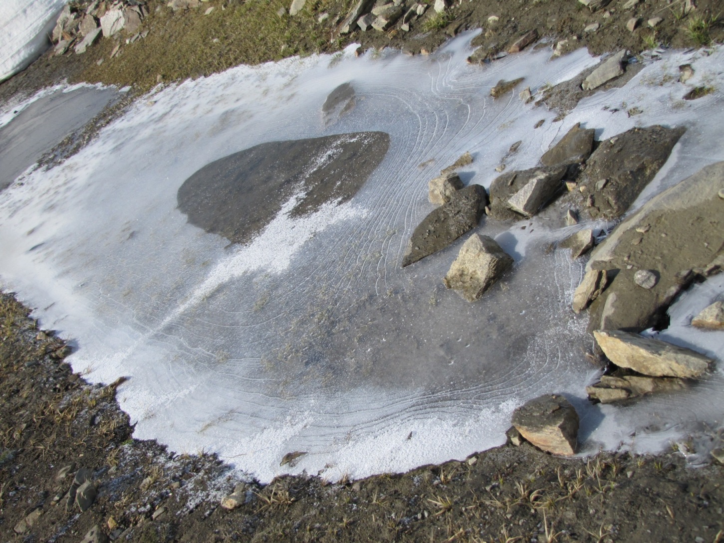 Photo Talking : Ice Ripples – Nature’s Amazing Creations
