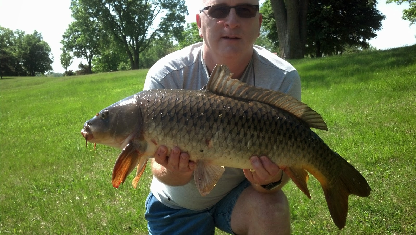 Michigan Carp Fishing Blog: Morning Carp Session