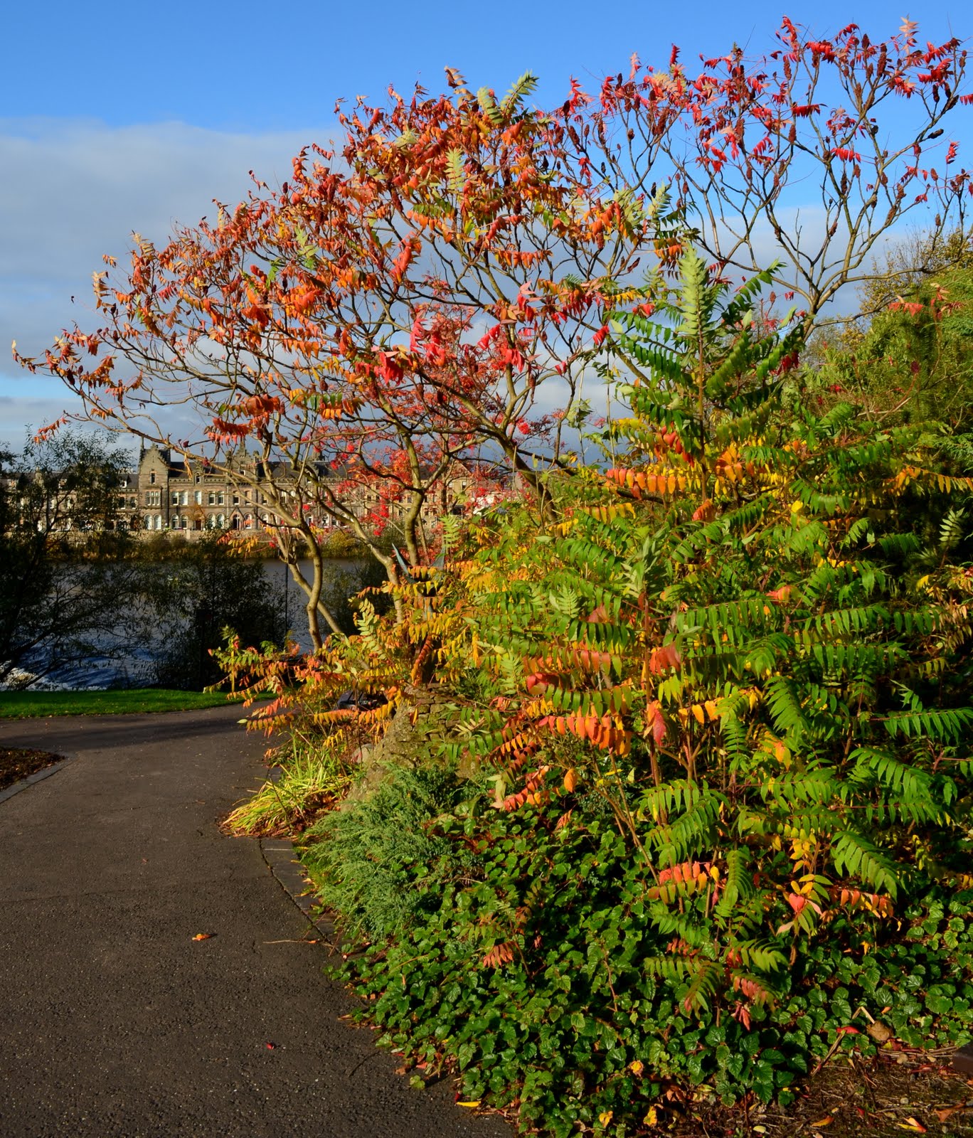 Tour Scotland: Tour Scotland Photographs Autumn Colours Perth October 28th