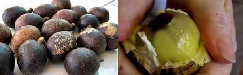 Tiger Walker (ทางเสือผ่าน): crystal longan