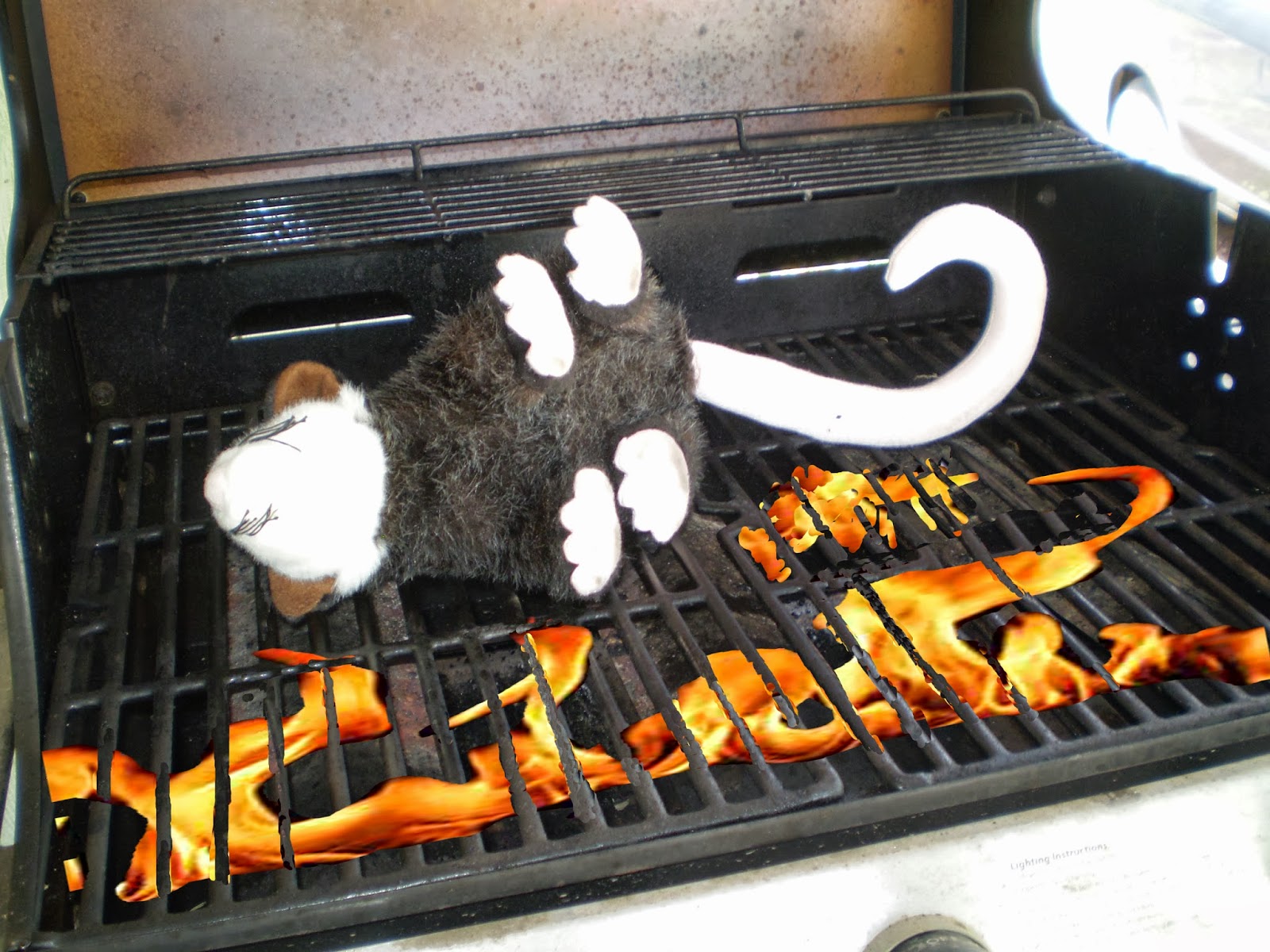 Life of Gypsy the Opossum: Practising Fire Walking