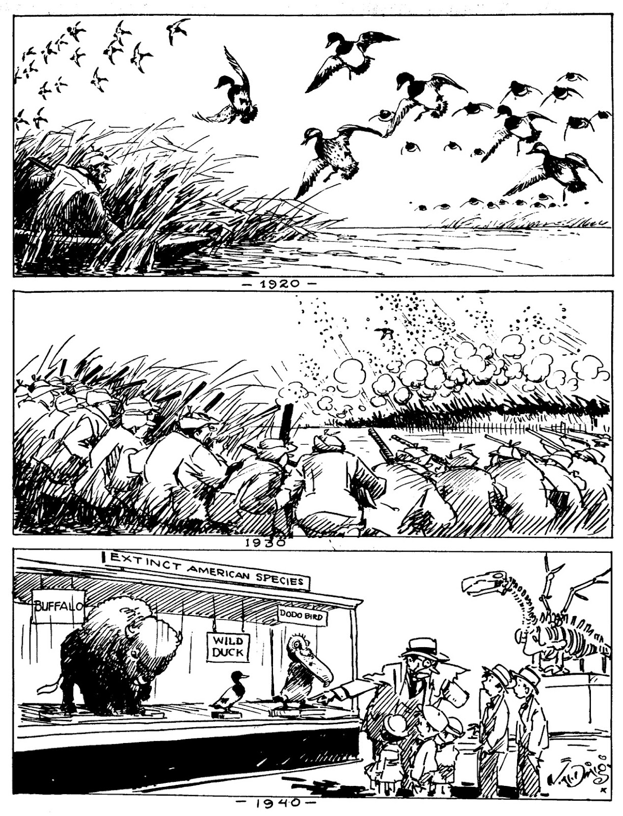 Ink & Snow: "Ding" Darling