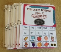Big Apple Speech: Interactive Expressive Language Notebooks: Pronoun ...
