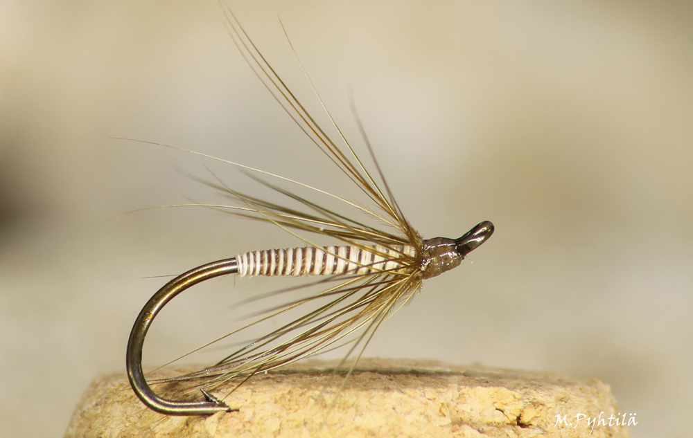 Päiväntasaajan Perhokerho: Jenny Spinner