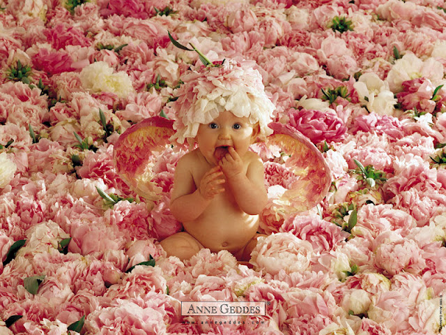 Anne Geddes Babies with Roses. - Oh My Baby!