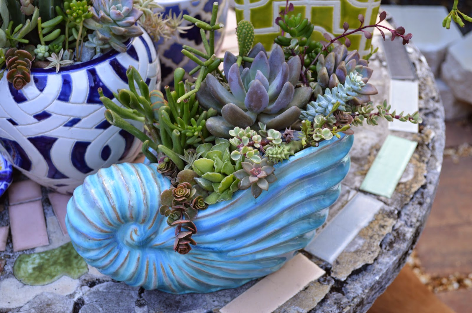 Unique Succulent and Cacti Planters: Think Outside the Box