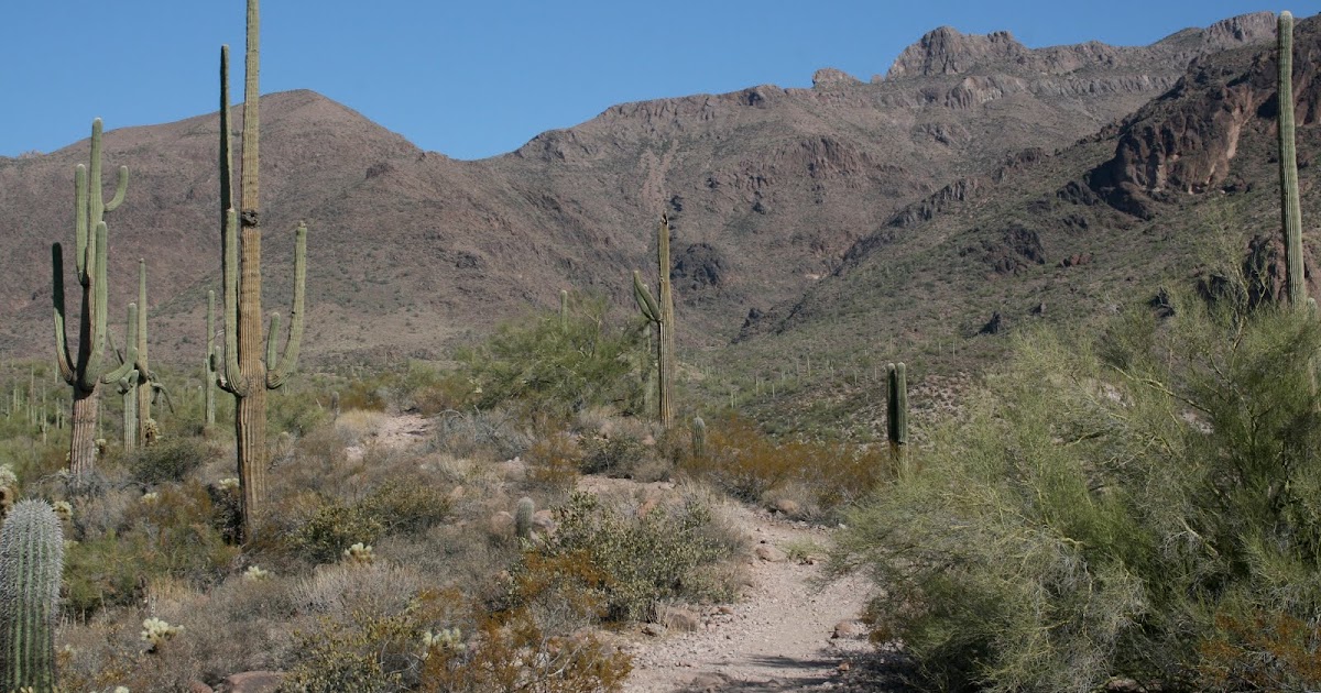 Walking Arizona: A Desert Trail