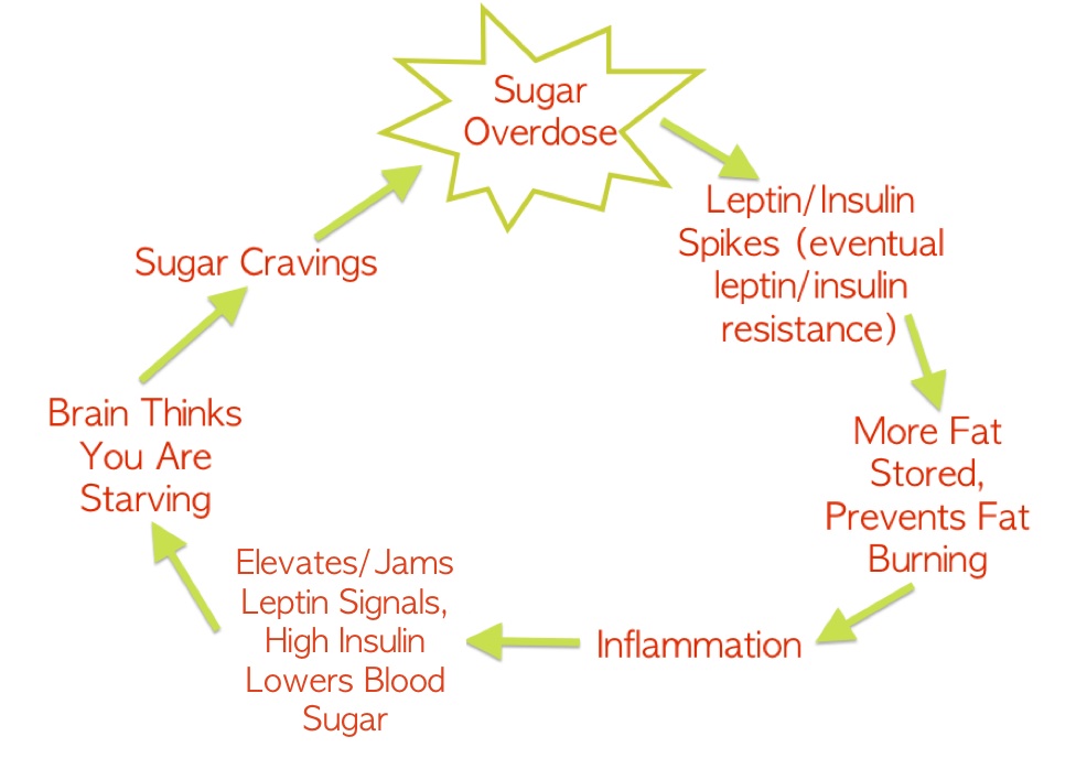 Retracing My Steps: La Vita e Dolce, Part Three: How to Eat Your Sugar