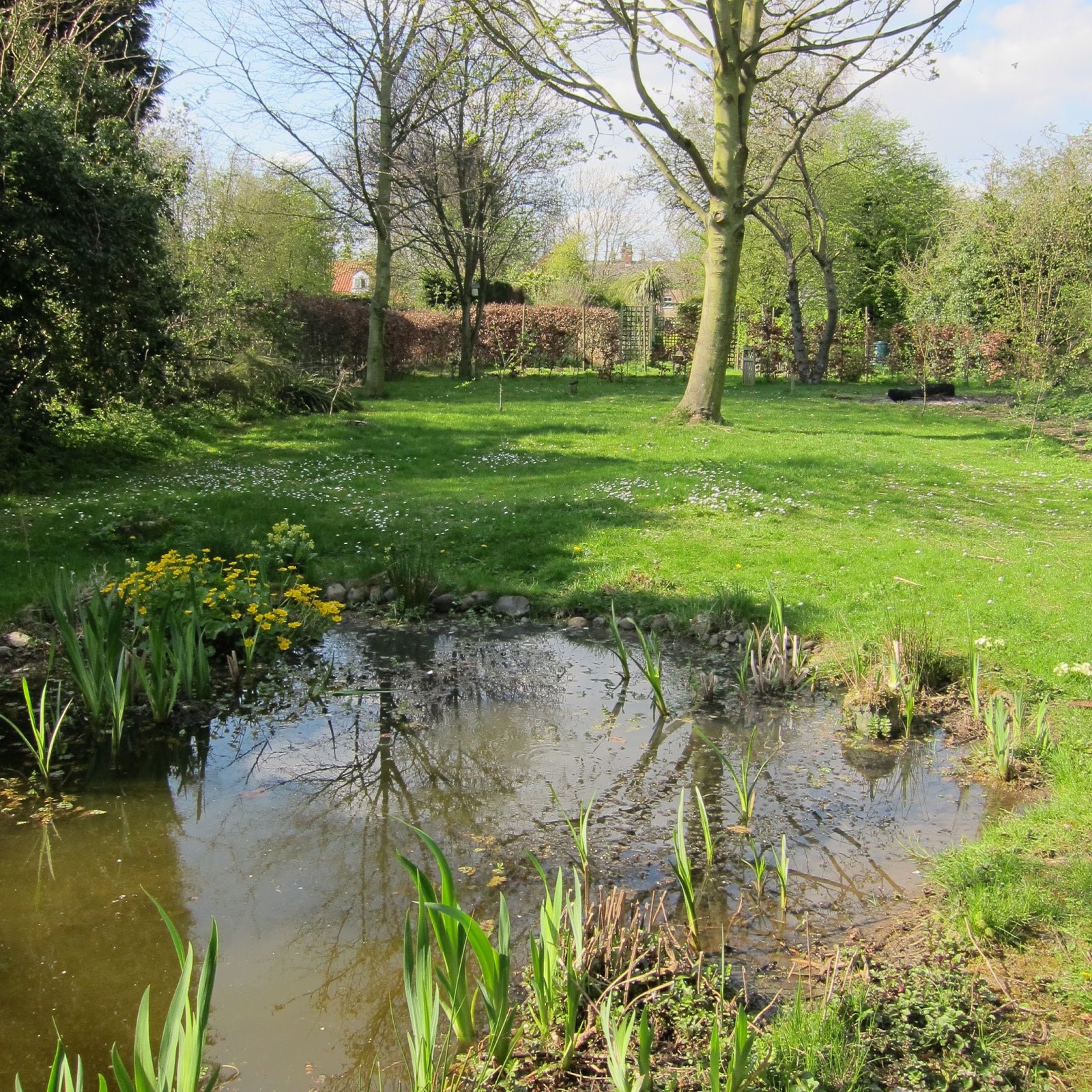 New shoots - biopic of a rebellious English garden...: End of the month ...