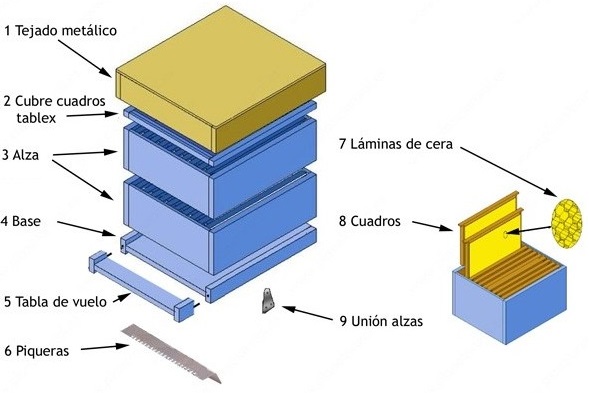 Medidas De Diferentes Tipos De Colmenas Verticales Tipo Langstroth ...